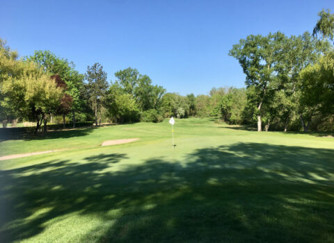 Der Platz - Le Golf du Rhin