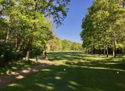 Der Platz - Le Golf du Rhin