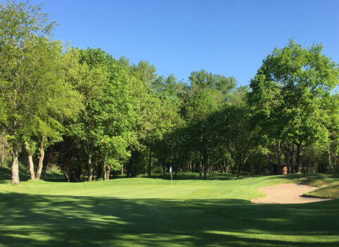 Der Platz - Le Golf du Rhin