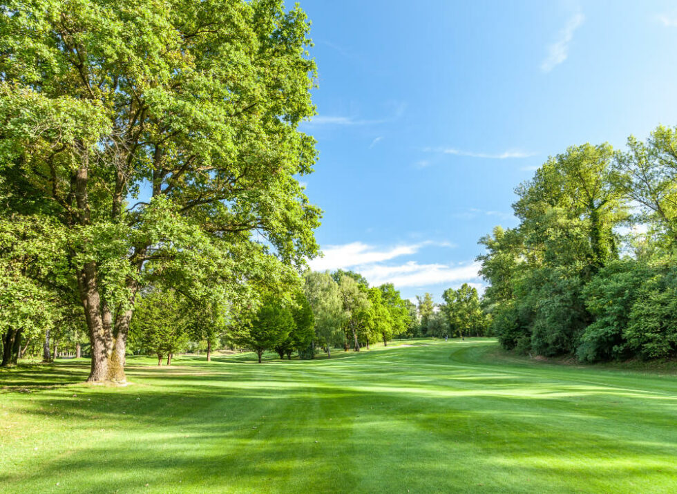 Der Platz - Le Golf du Rhin